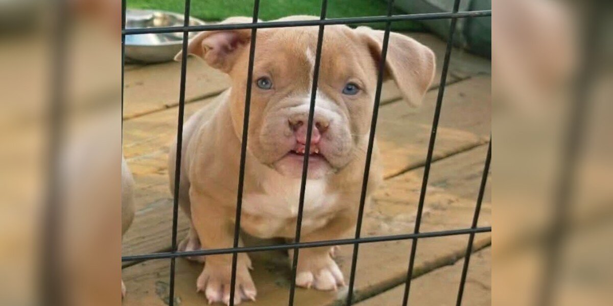 Little ‘Gremlin’ With Cleft Lip Is So Happy To Meet Someone Who Gets ...