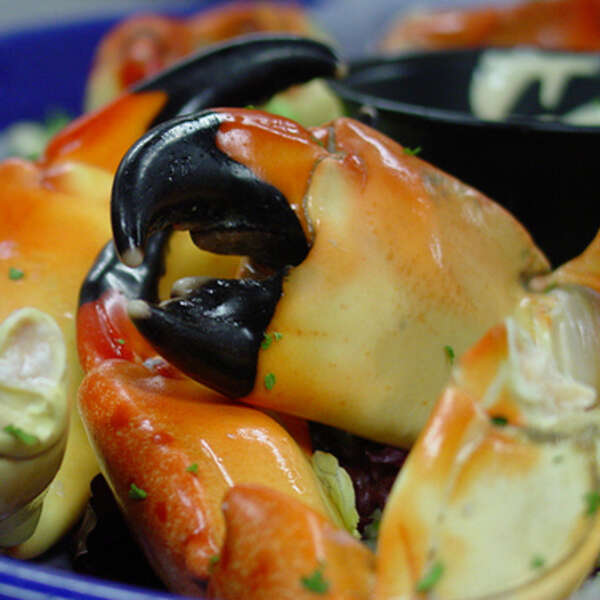 Key Largo Stone Crab Festival - Entertainment - Thrillist Miami