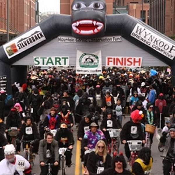 Austin Gorilla Run - Entertainment - Thrillist Austin