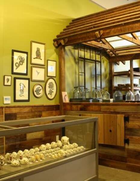 Paxton Gate - Own - Thrillist Portland