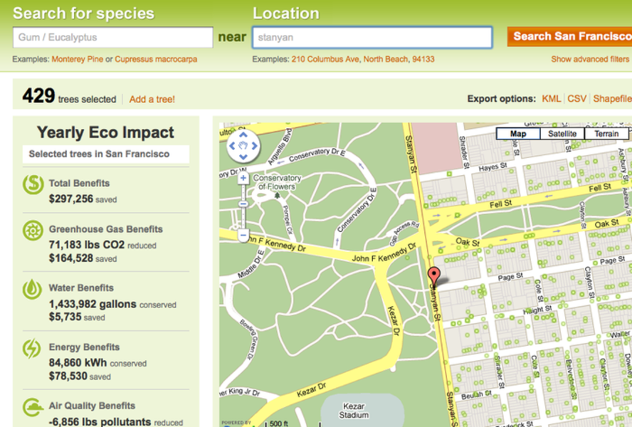 Learning about SF's trees...awesomely! - Thrillist