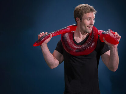 The Party Python - Eat - Thrillist Nation