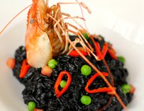 The Local House: A Miami, FL Bar.