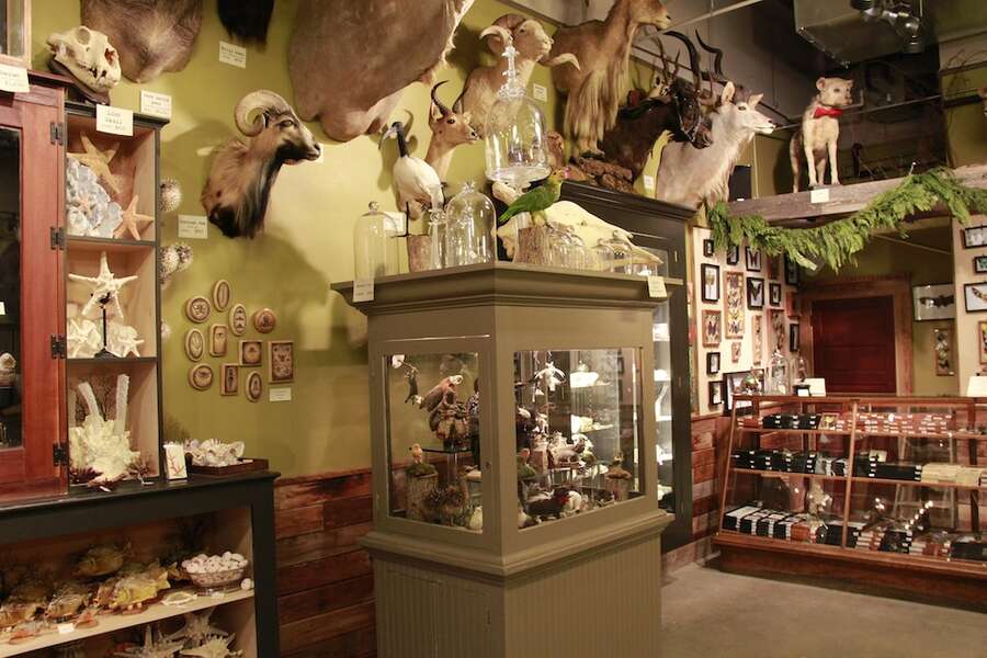 Paxton Gate - Own - Thrillist Portland