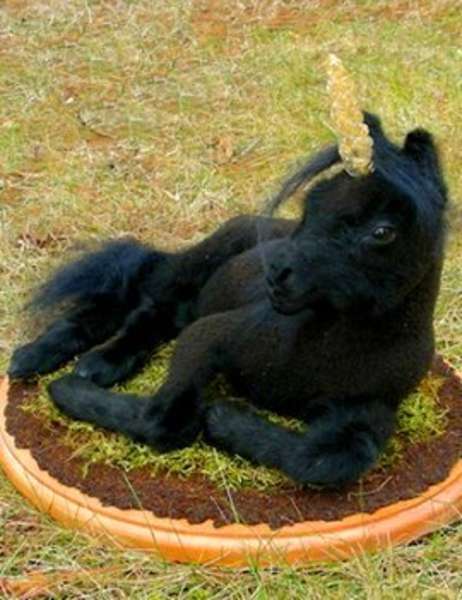 Regretsy - Thrillist