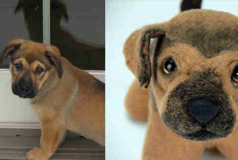 Custom Stuffed Dogs - Own - Thrillist