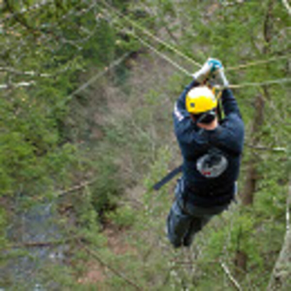 Tree Top Canopy Tours - Thrillist