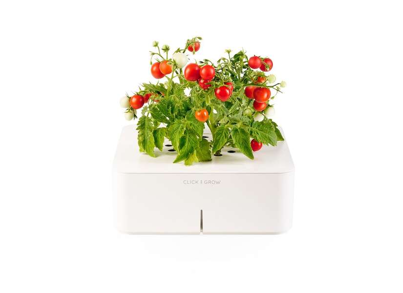 Click & Grow - Own - Thrillist Nation