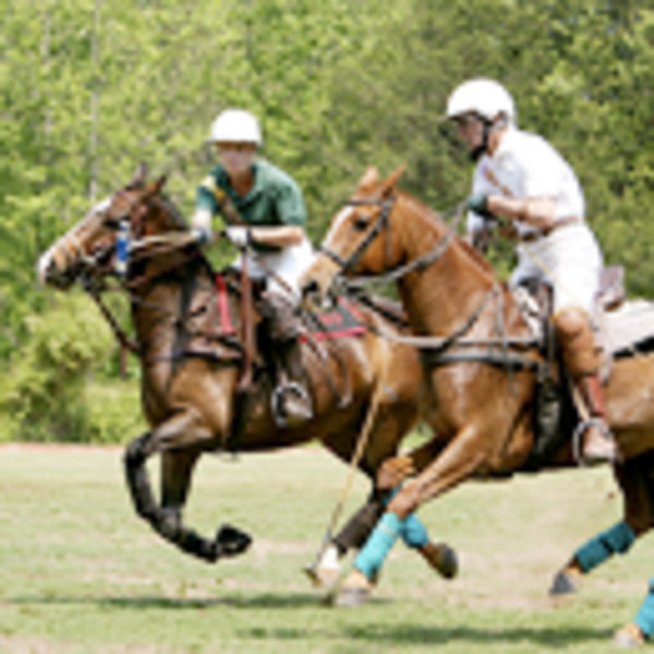 King Of Clubs Polo Party: A Other in Alpharetta, GA - Thrillist