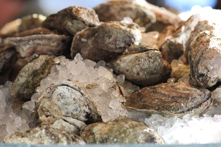 Jax Denver's Facelift & Menulift - Eat - Thrillist Denver