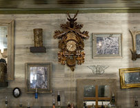 Buzz Mill: A Austin, USA Bar.