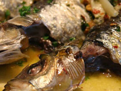 Fish Shack & Market - Eat - Thrillist Miami
