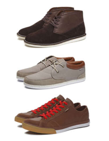 Pointer - Own - Thrillist Chicago