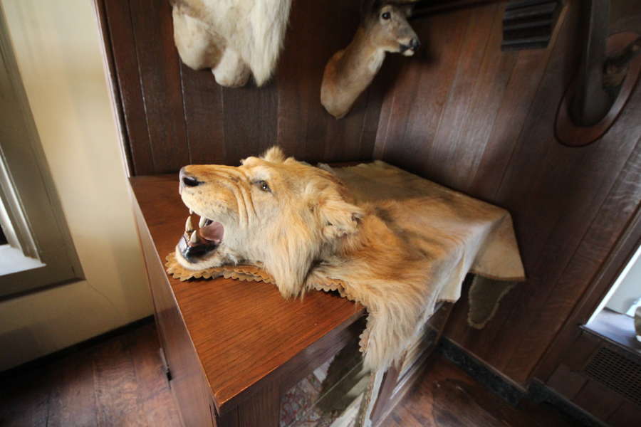 The Explorers Club - Drink - Thrillist New York