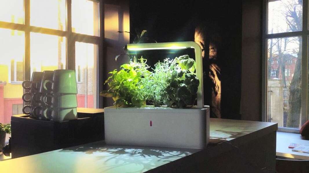 Smart Herb Garden - Own - Thrillist Nation