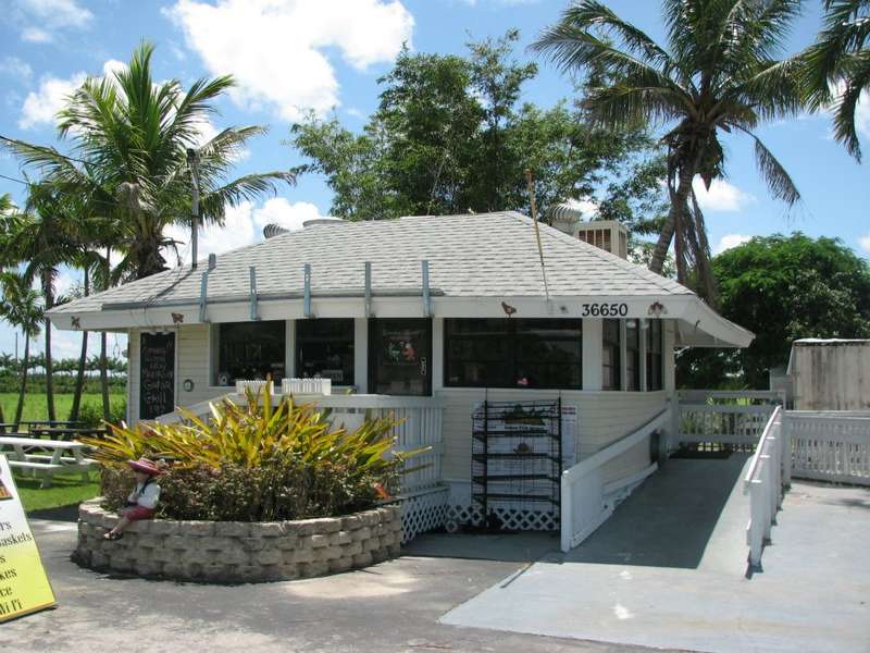 Gator Grill 192 - Eat - Thrillist Miami