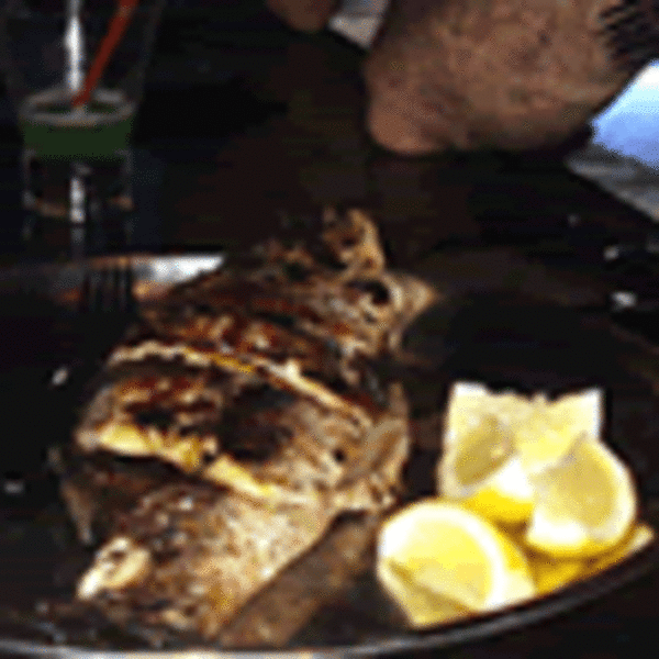 Moo Mobile and Toss the Boss Kickoff Party - Drink - Thrillist New York