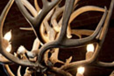 Ale House Inn - Travel - Thrillist Boston