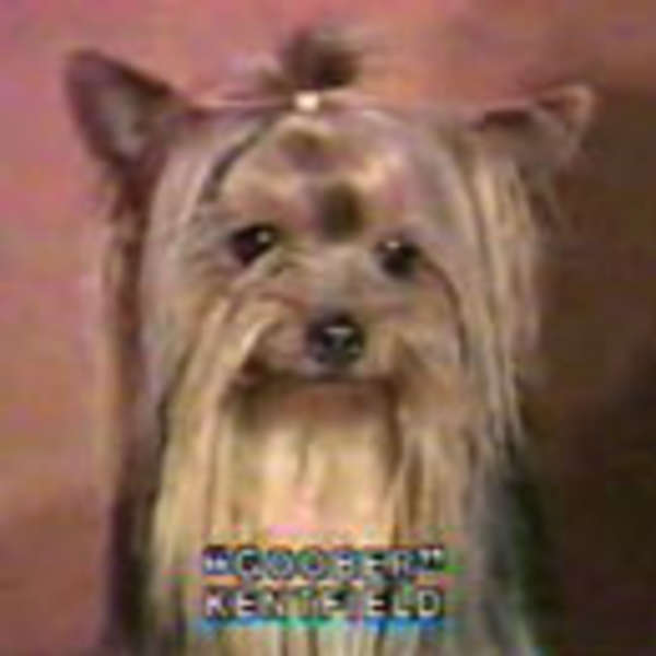 KOFY-TV 20 Ad Featuring - Entertainment - Thrillist San Francisco