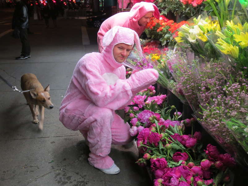 Why Are These Guys Wearing Pink Bunny Suits? - Upkeep - Thrillist New York