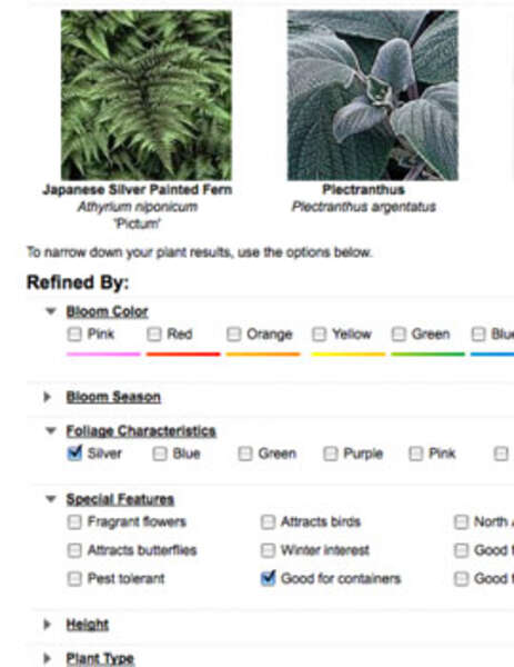 EasyBloom - Thrillist Nation