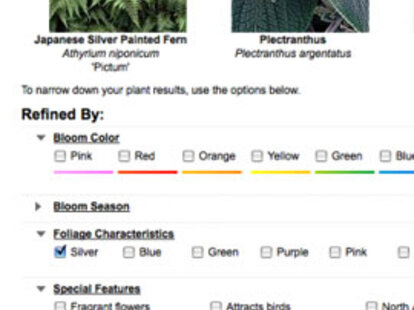 EasyBloom - Thrillist Nation