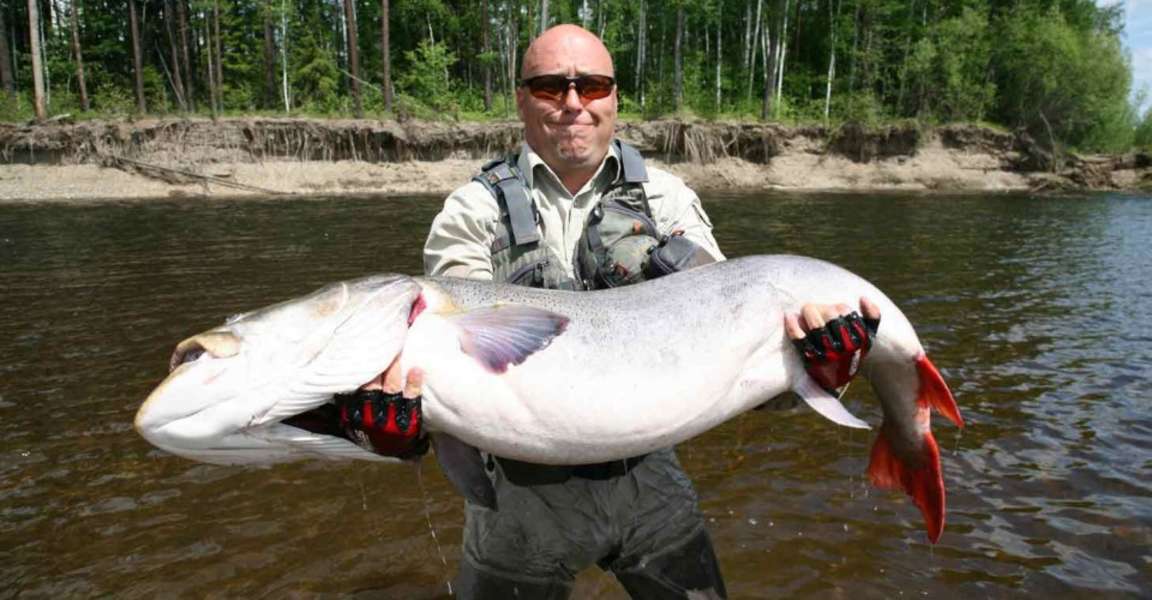 The 17 gnarliest things to do in Siberia - Thrillist