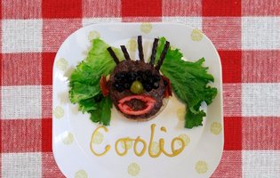 Celebrity Cookbooks - Coolio Cookbook, Ted Nugent Cookbook, Frank ...