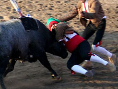 California Bull Fights - Thrillist San Francisco
