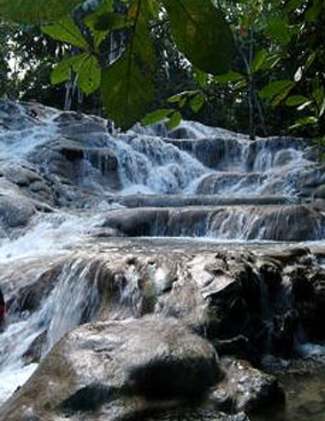 Tropi-can't or Tropi-can? - Thrillist