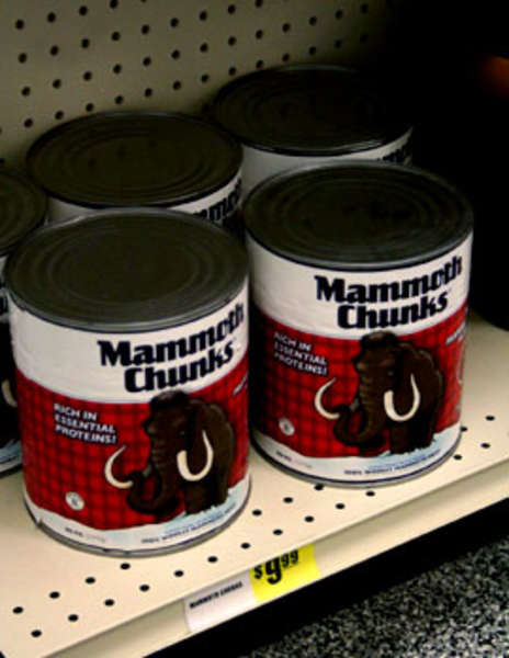 Echo Park Time Travel Mart - Own - Thrillist Los Angeles