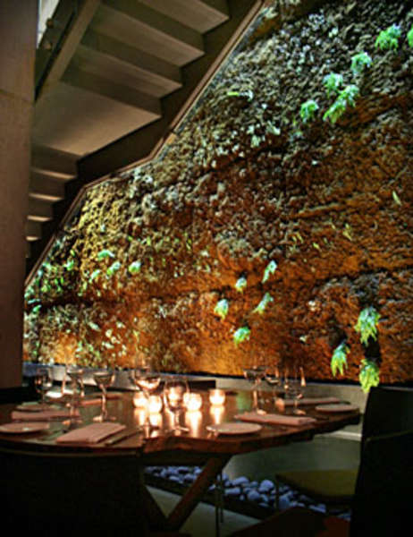 The Moss Room - Eat - Thrillist San Francisco