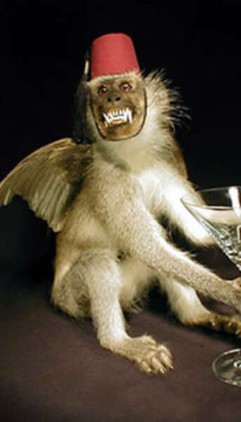 Custom Creature Taxidermy - Thrillist Nation
