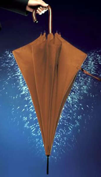 NanoNuno Umbrella - Thrillist Nation