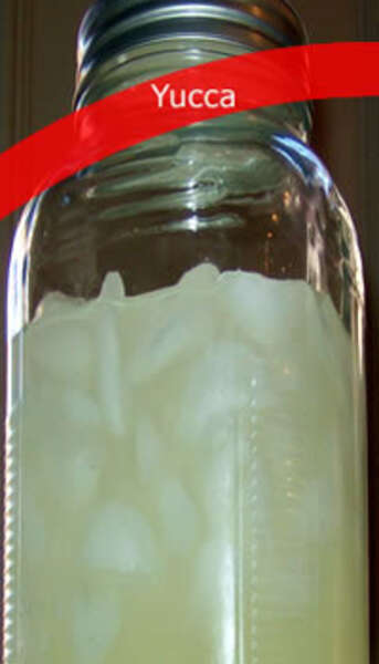 Yucca - Drink - Thrillist New York