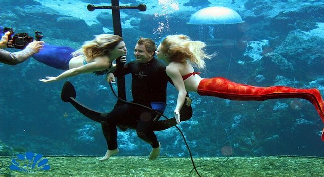 Weeki Wachee Springs, Florida mermaid town/ mermaid show