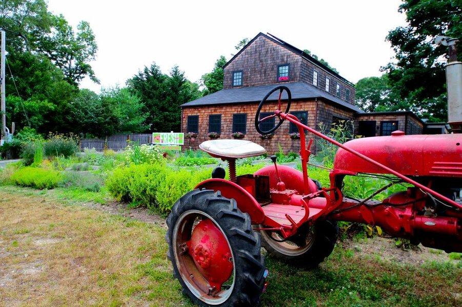 Fresh - Family-style farm to table dining - Thrillist Hamptons