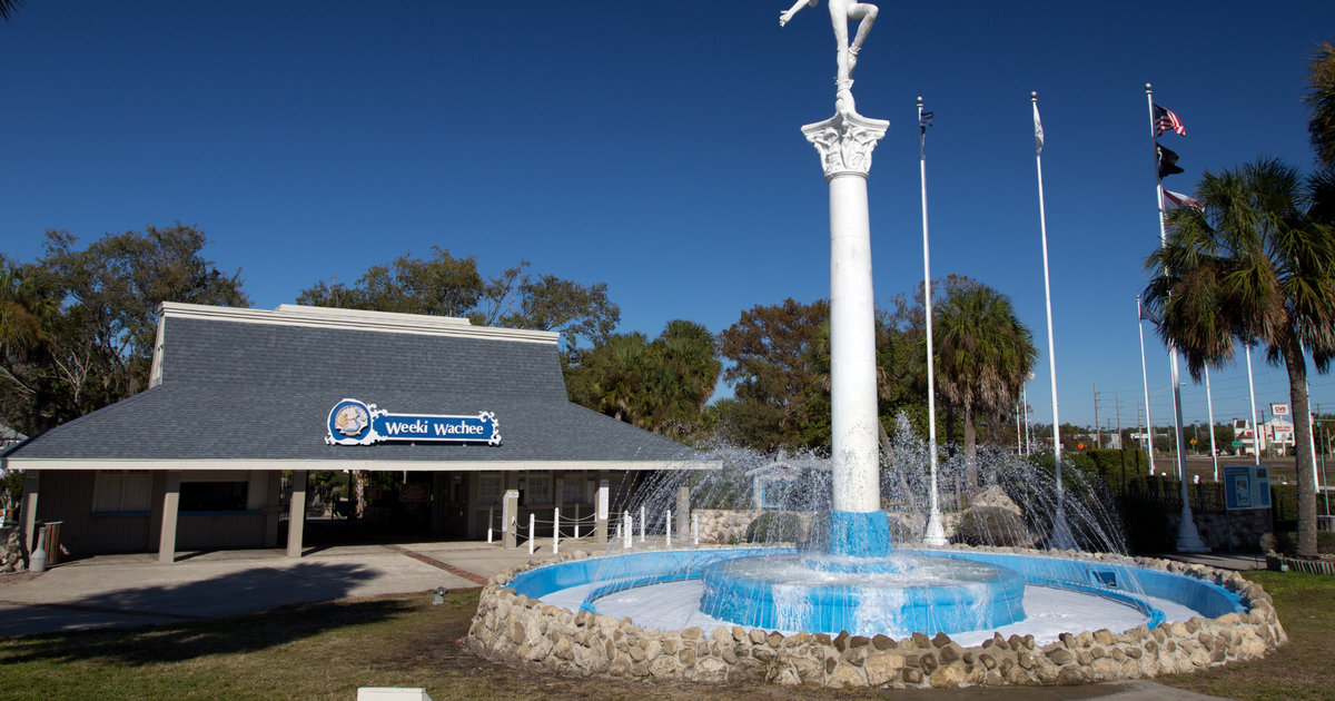 Weeki Wachee Springs State Park: A Nation, FL Venue.