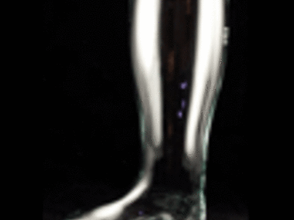 Three Liter Beer Boot - Thrillist Nation