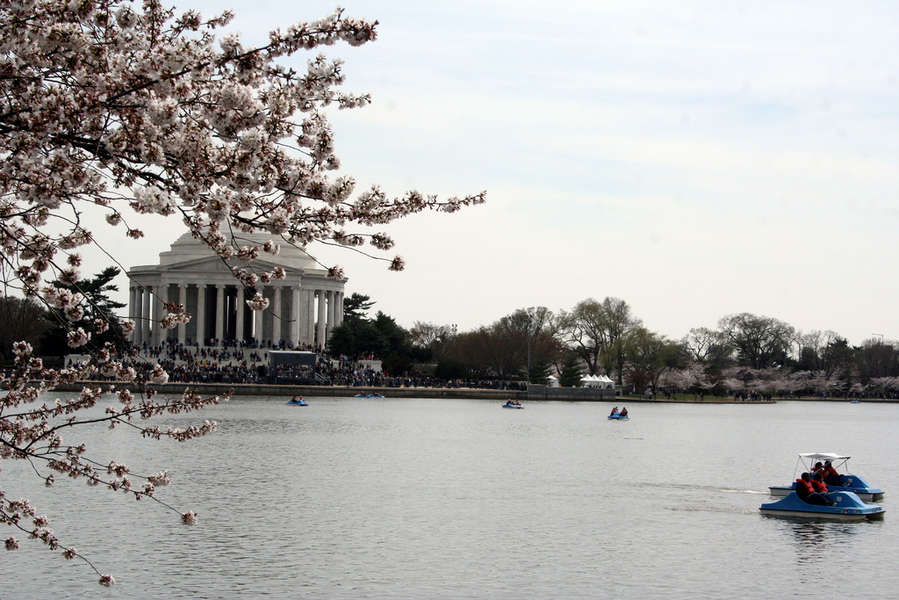 Tidal Basin Paddle Boats: A Other in Washington, D.C. - Thrillist
