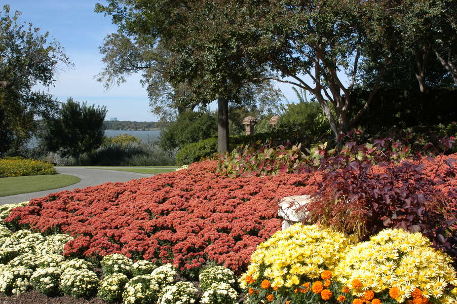 Dallas Arboretum and Botanical Garden: A Other in Dallas, TX - Thrillist