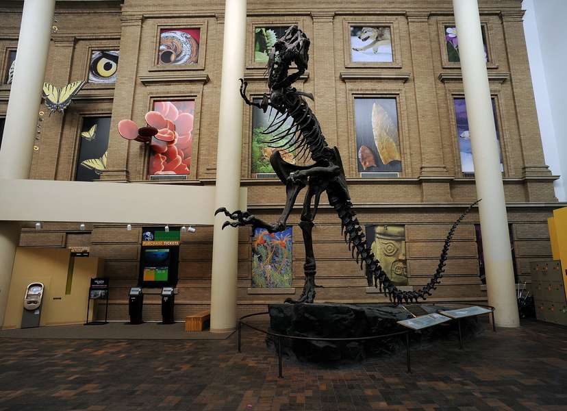 Denver Museum of Nature and Science: A Other in Denver, CO - Thrillist