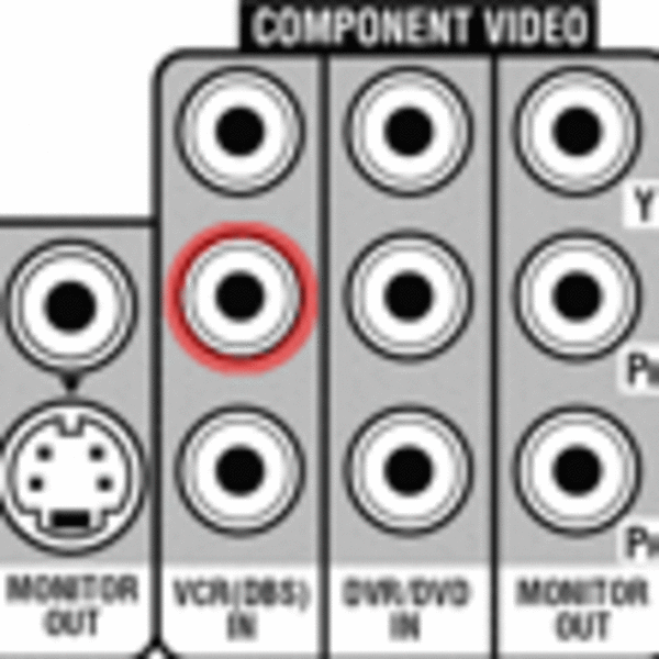 WireWize - Thrillist Nation