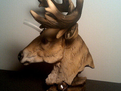 Michael Nusbaum's Crazy Pipes - Entertainment - Thrillist Nation