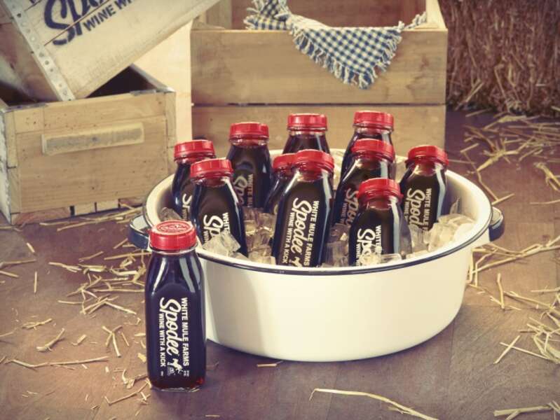 Spodee - Entertainment - Thrillist Philadelphia