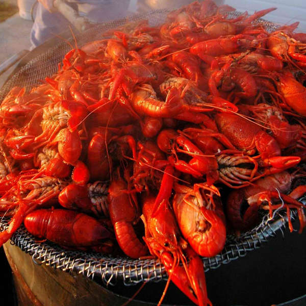 Tavern on the Water’s Crawfish Boil : A Restaurant in Charlestown, MA ...