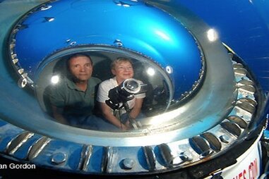 Deep Submarine Shark Adventures - Shark Diving 3000ft into the Cayman ...