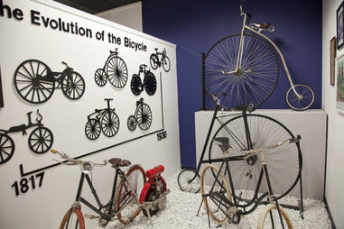 Dezer Collection Museum & Pavilion - Own - Thrillist Miami