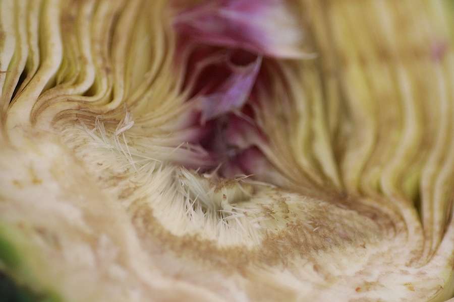 Can you guess these foods based on the zoomed-in cross section? - Thrillist
