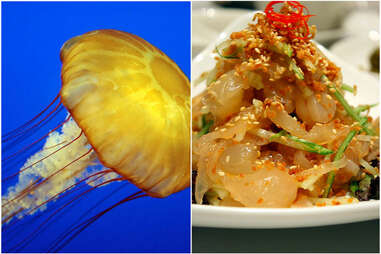 Exotic Foods That Can Kill You - Meals From Around the World That Can ...